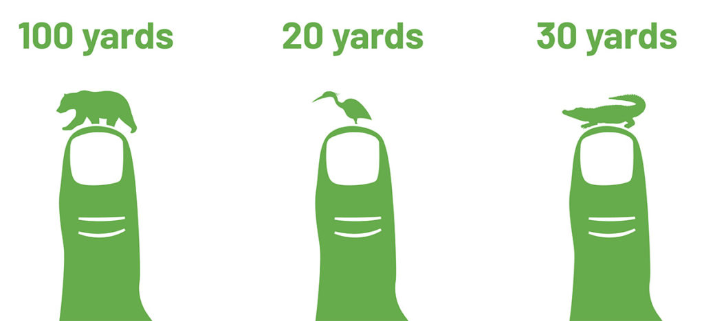 Keep Wildlife Safe with Habitat Restoration - Green Living Toolkit